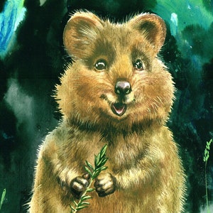 Quokka Painting Quokka Portrait Quokka Animal Illustration Quokka ...