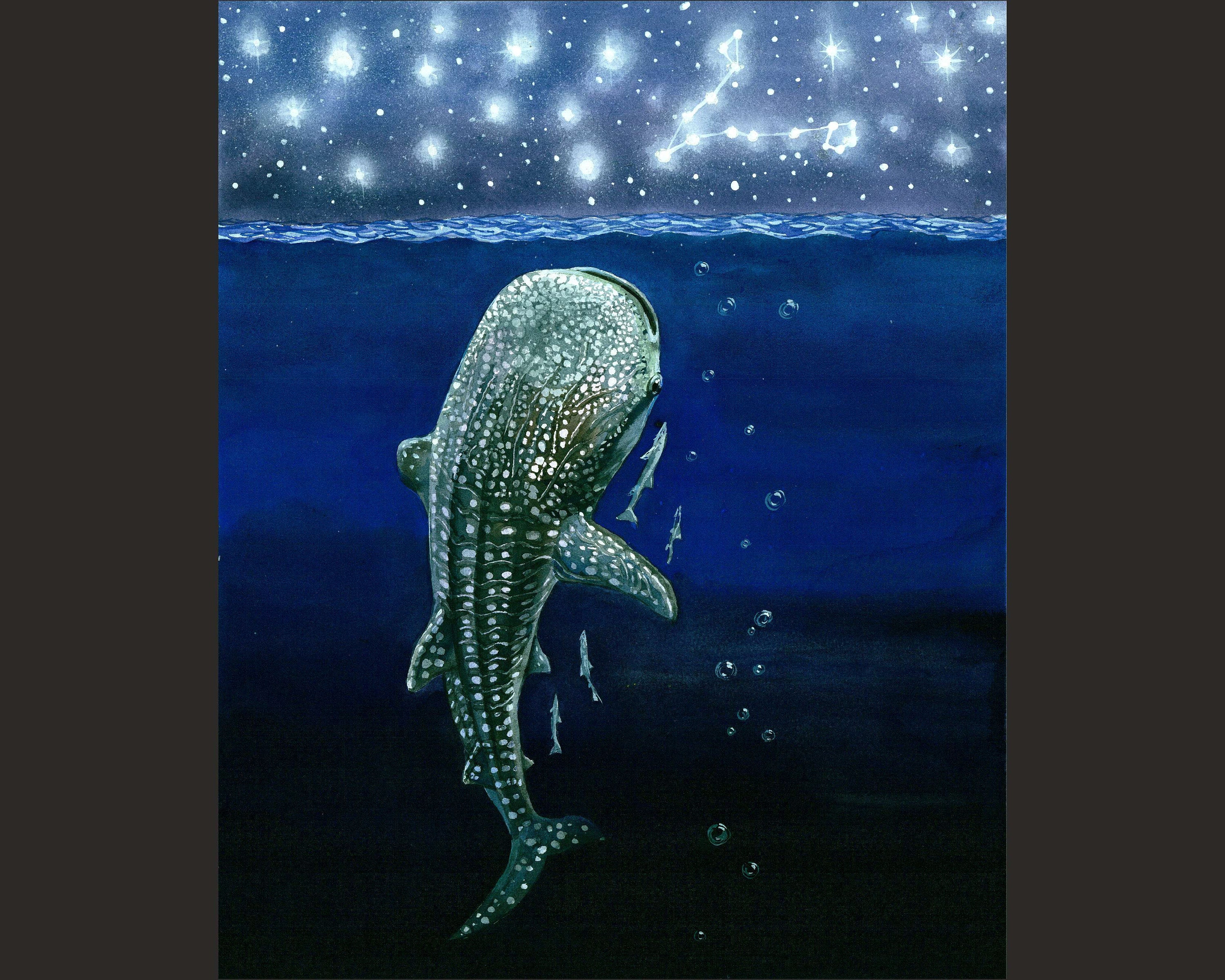 Watercolor Whale Shark Painting Whale Print Whale Art Beach Decor Shark ...