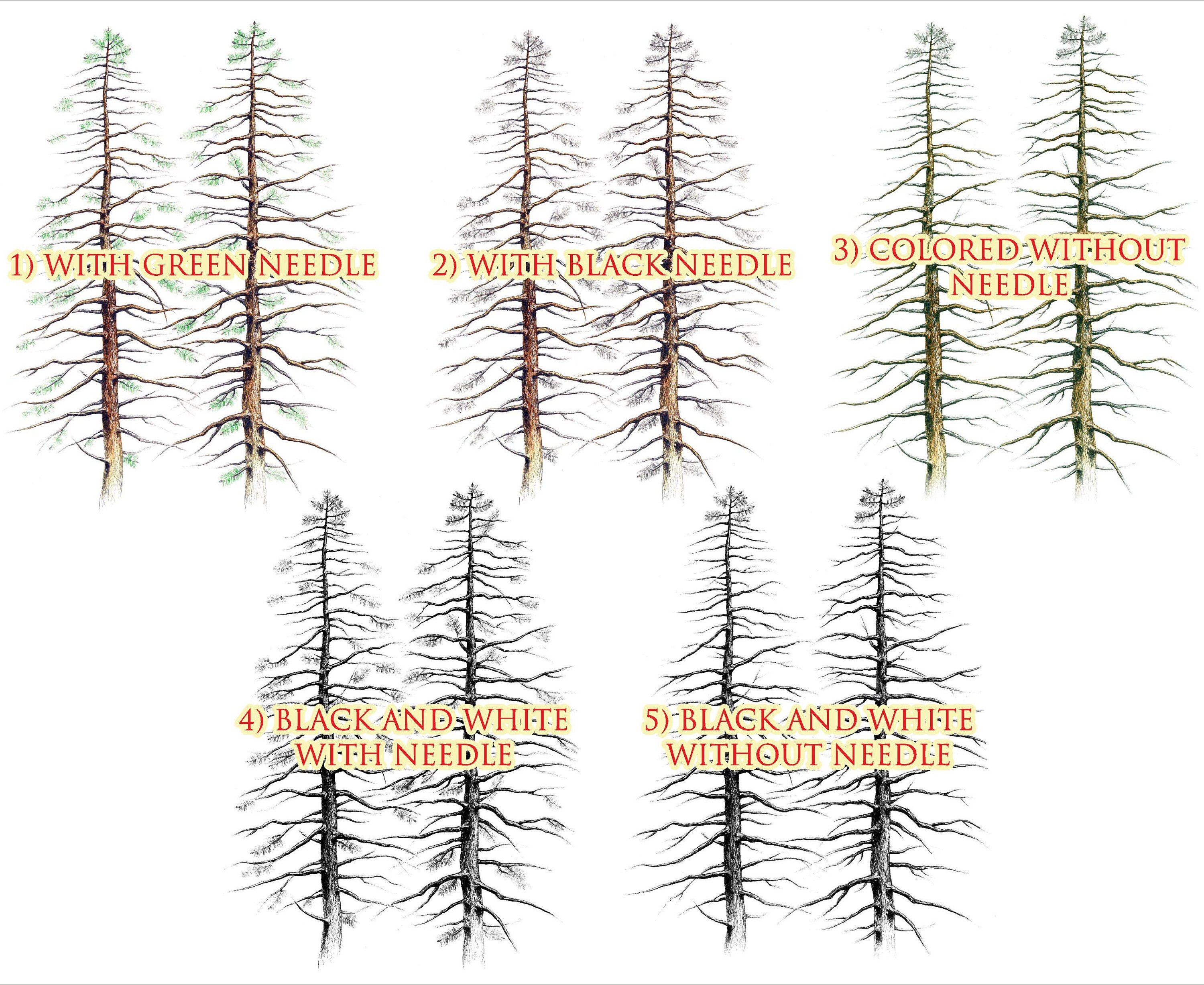 Wedding Guest Book Alternative Tree Double Pine Two Pines Rustic ...