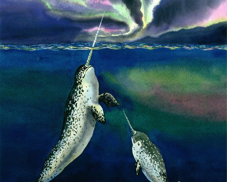 Watercolor Narwhal Whale Painting Narwhal Art Print Beach - Etsy