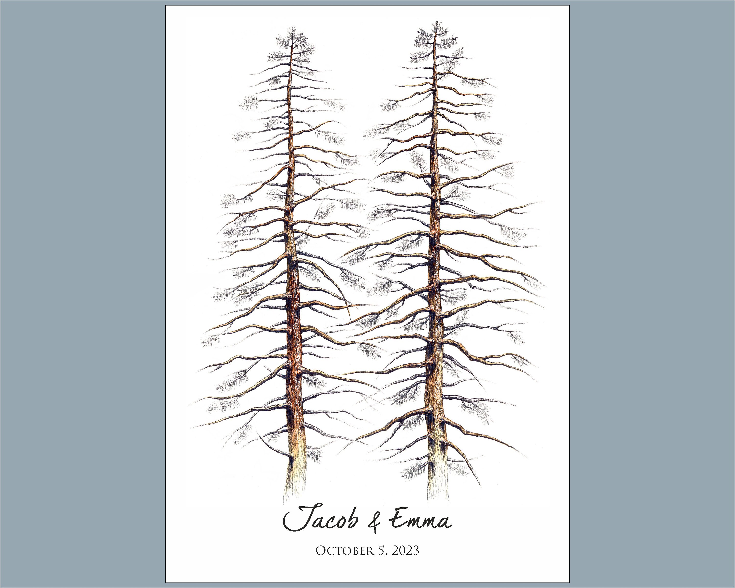 Wedding Guest Book Alternative Tree Double Pine Two Pines Rustic ...