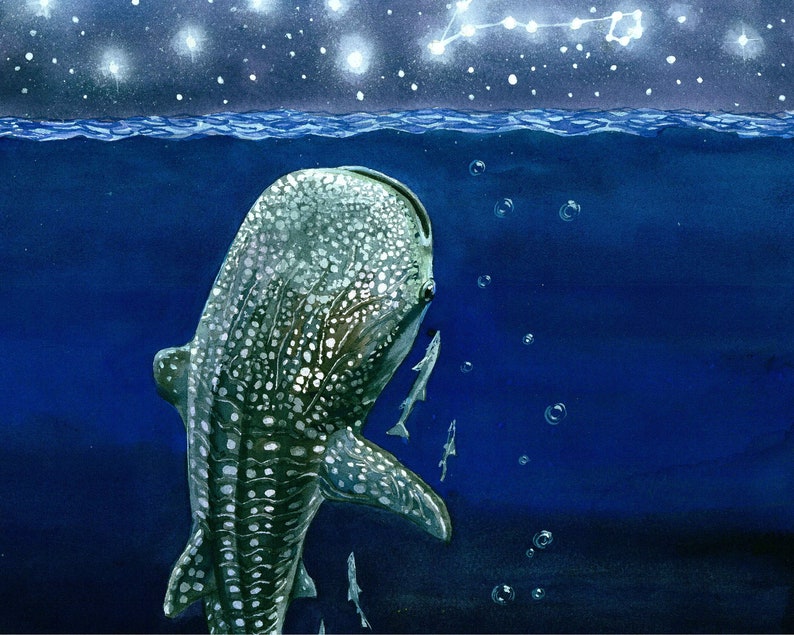 Watercolor Whale Shark Painting Whale Print Whale Art Beach Decor Shark Art stars Met Watercolor ...