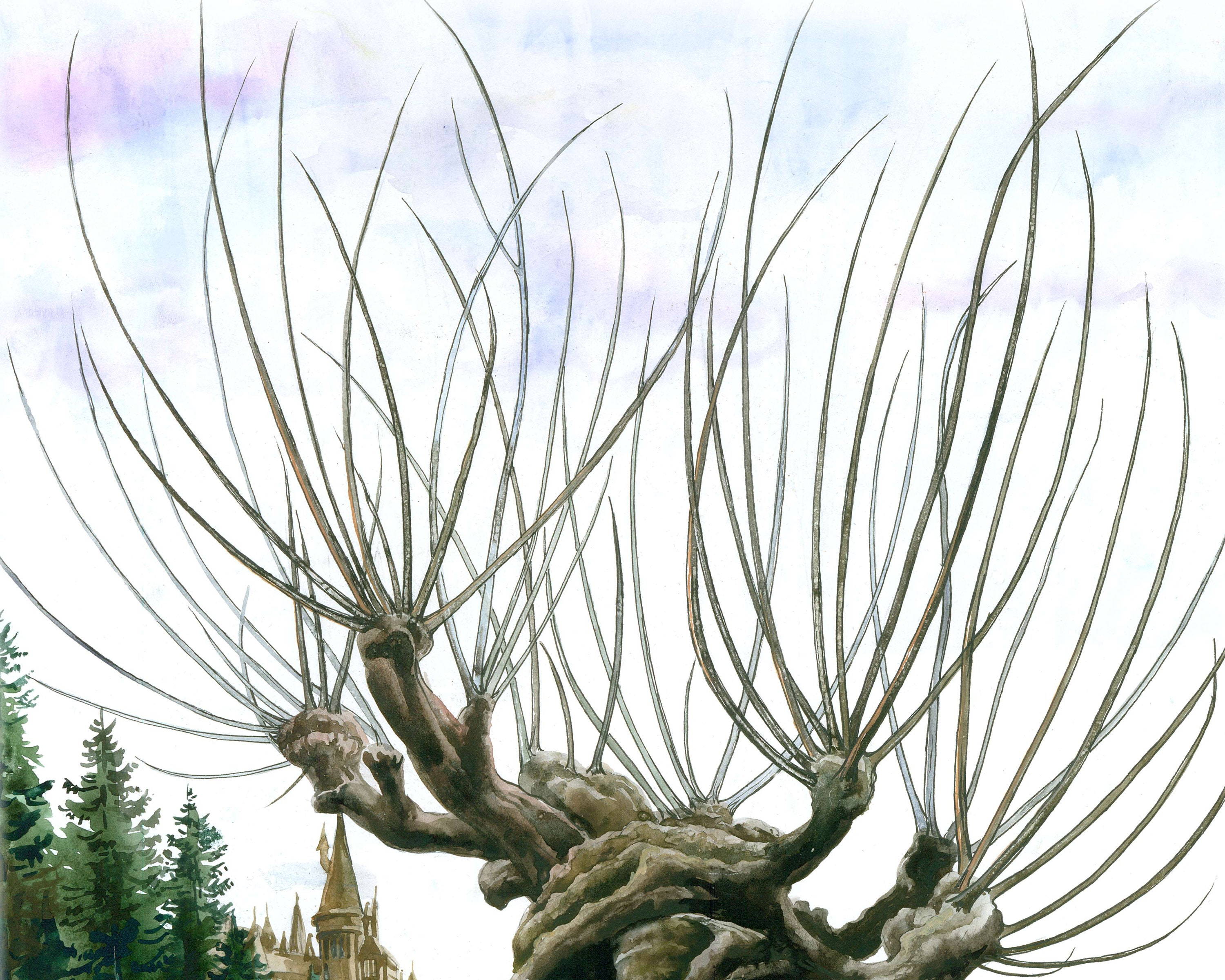 Wedding Guest Book Alternative Tree Whomping Willow Unique Wedding ...