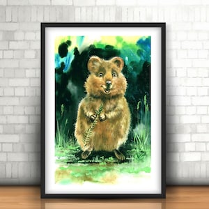 Quokka Painting Quokka Portrait Quokka Animal Illustration Quokka ...