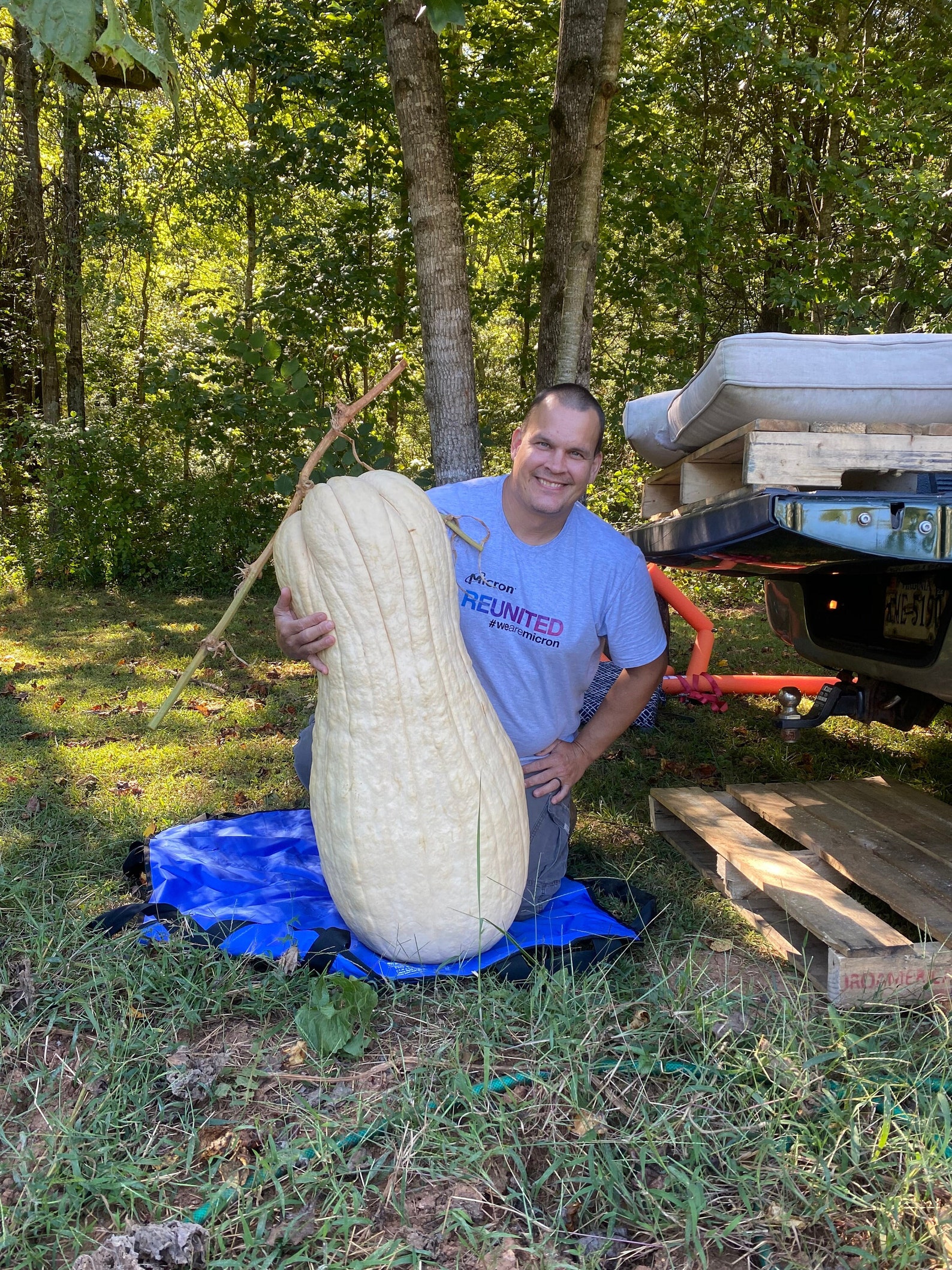 103lb Giant Butternut Squash Seeds - Etsy