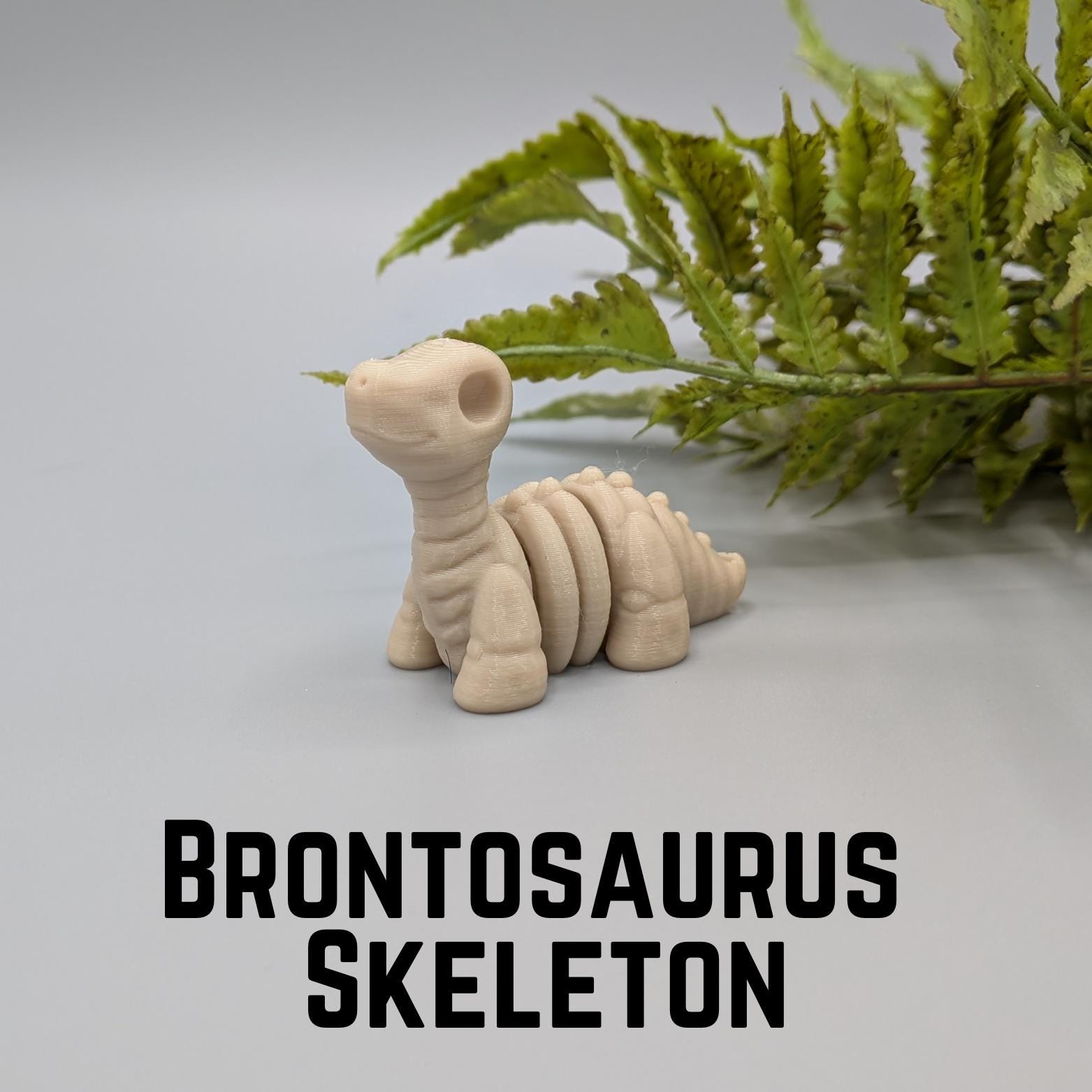 Brontosaurus Skeleton Flexi Fidget Key Chain, Sensory Toy, 3D Printed ...