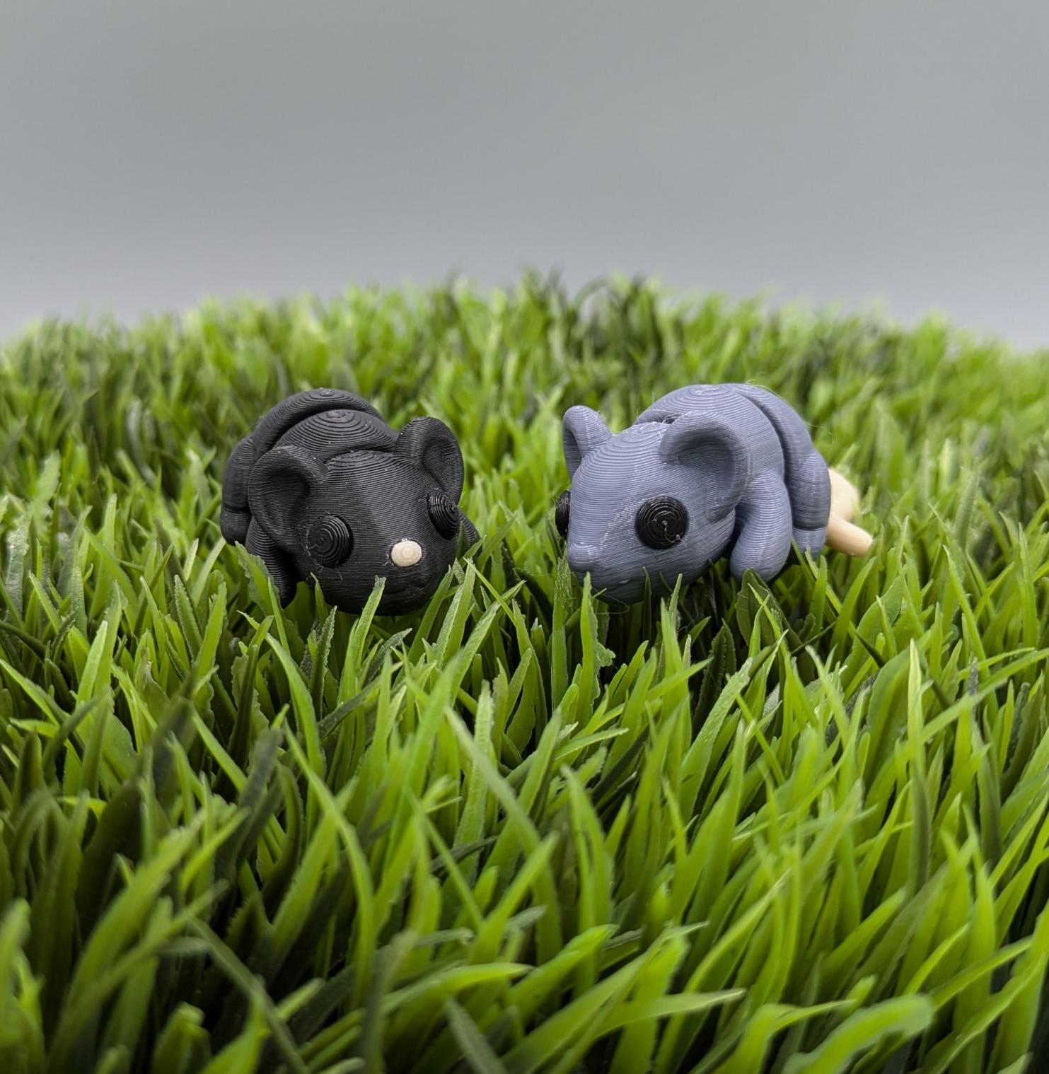 Mouse Flexi Fidget Key Chain, Sensory Toy, 3D Printed Gift, Keychain ...