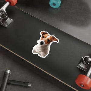 Jack Russell Terrier Die-cut Sticker, Jack Russell Terrier Sticker ...