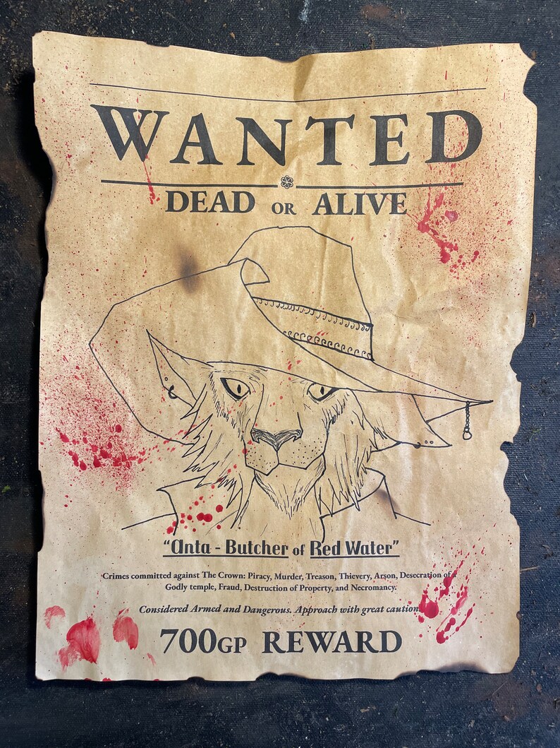 Personalized Hand Drawn Wanted Posters - Fantasy or Apocalyptic ...