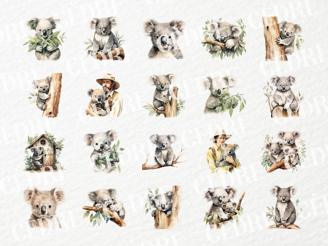 Watercolor Koala Clipart, Realistic Koalas Clipart, Cute Baby Koala ...