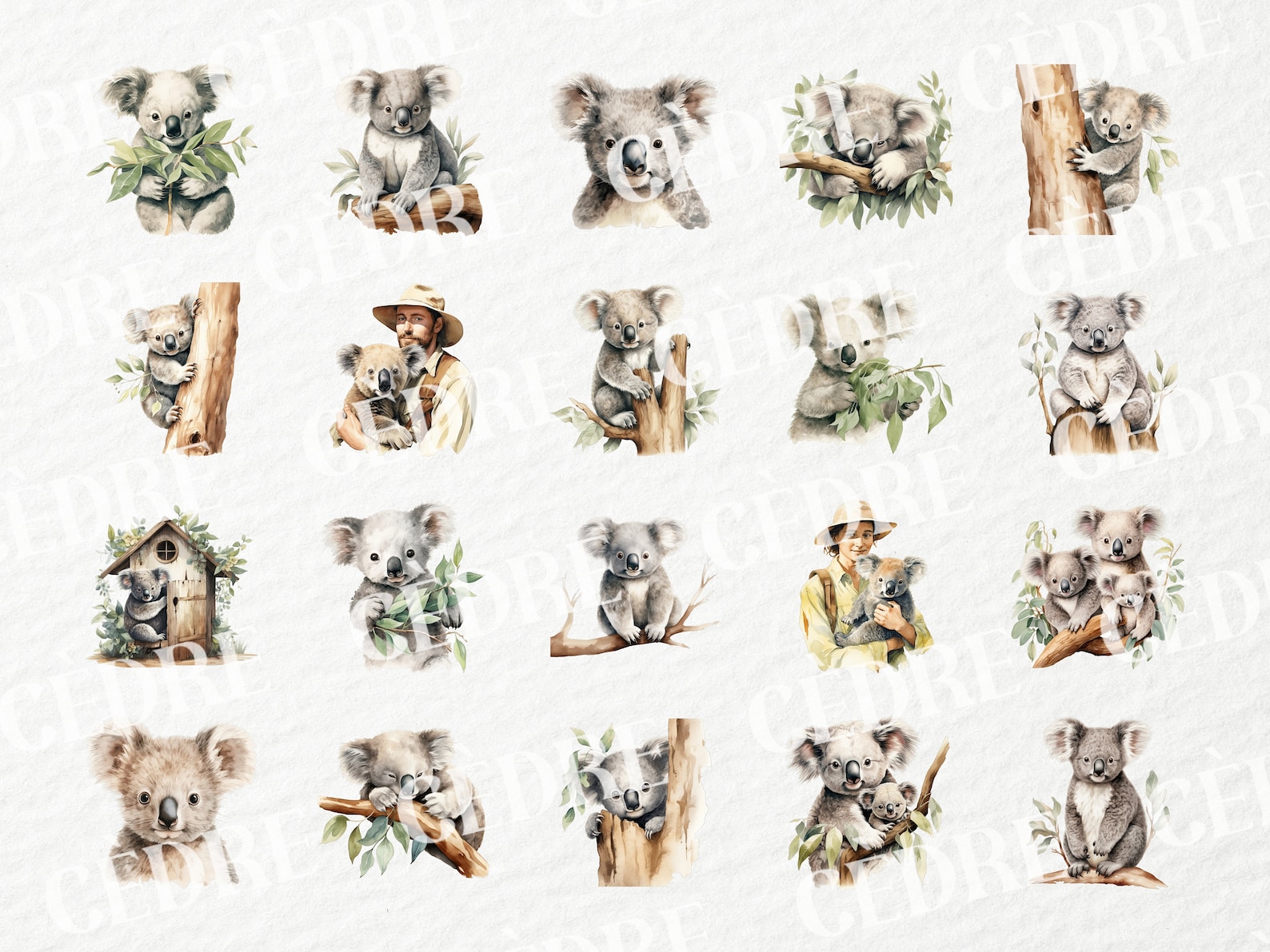 Watercolor Koala Clipart, Realistic Koalas Clipart, Cute Baby Koala ...
