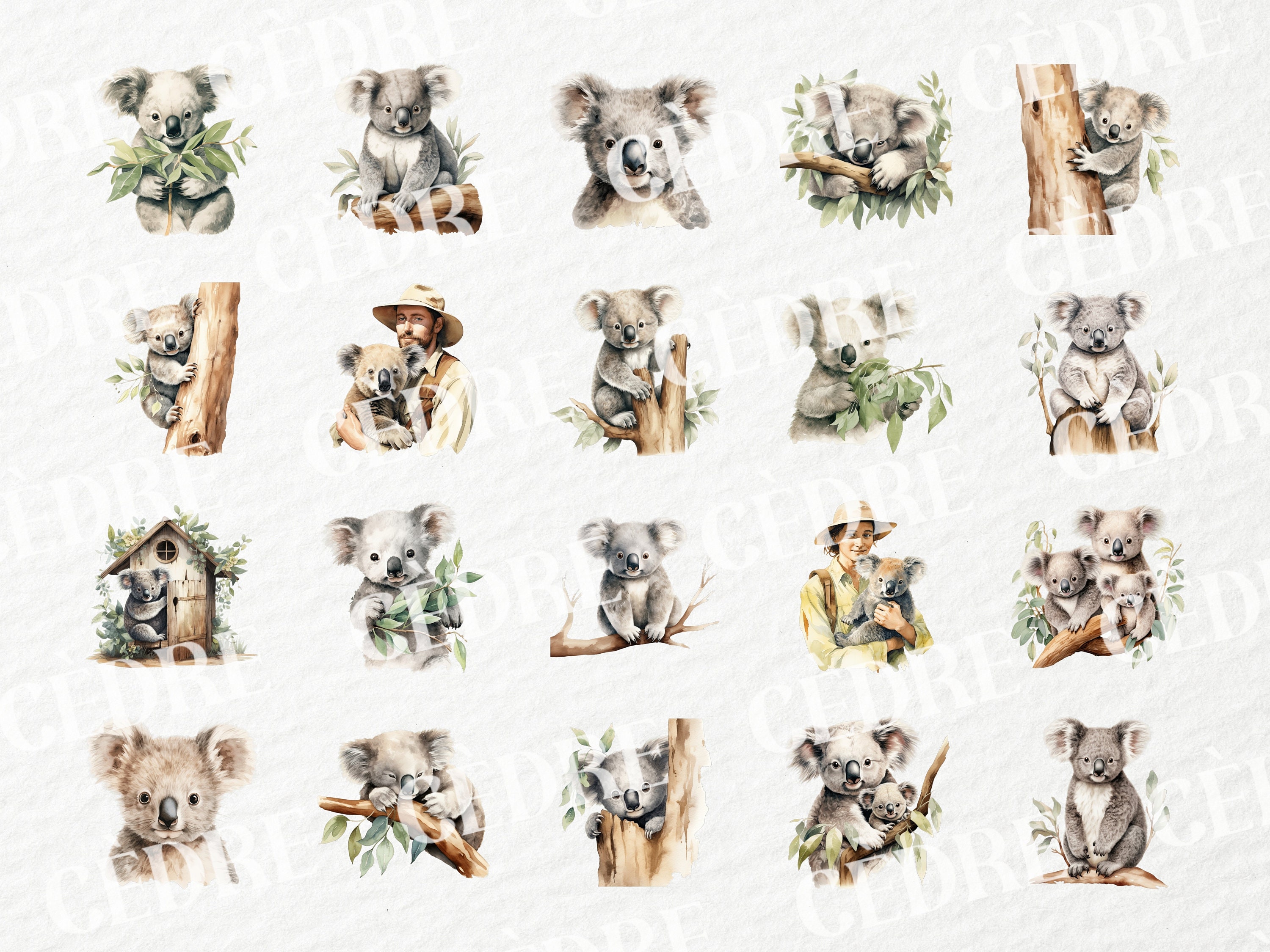 Watercolor Koala Clipart, Realistic Koalas Clipart, Cute Baby Koala ...