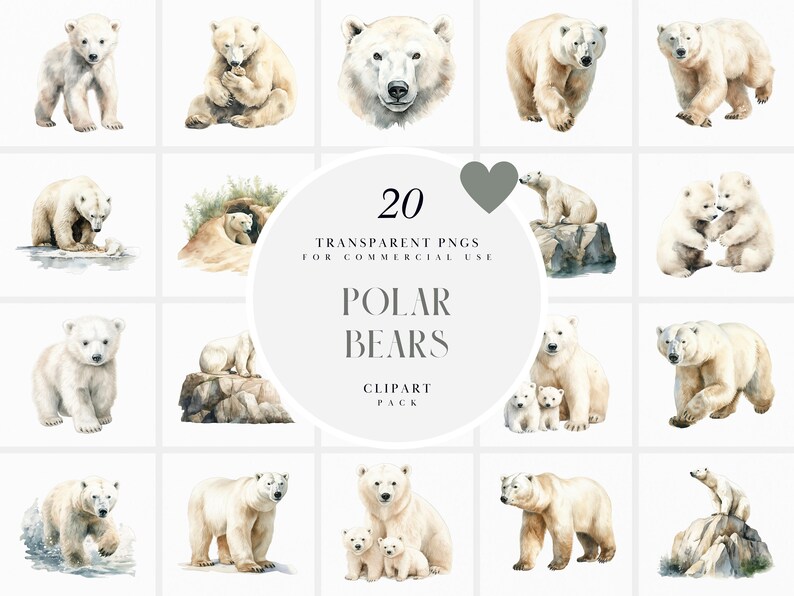 Watercolor Polar Bear Clipart, White Polar Bears Clipart, Realistic ...