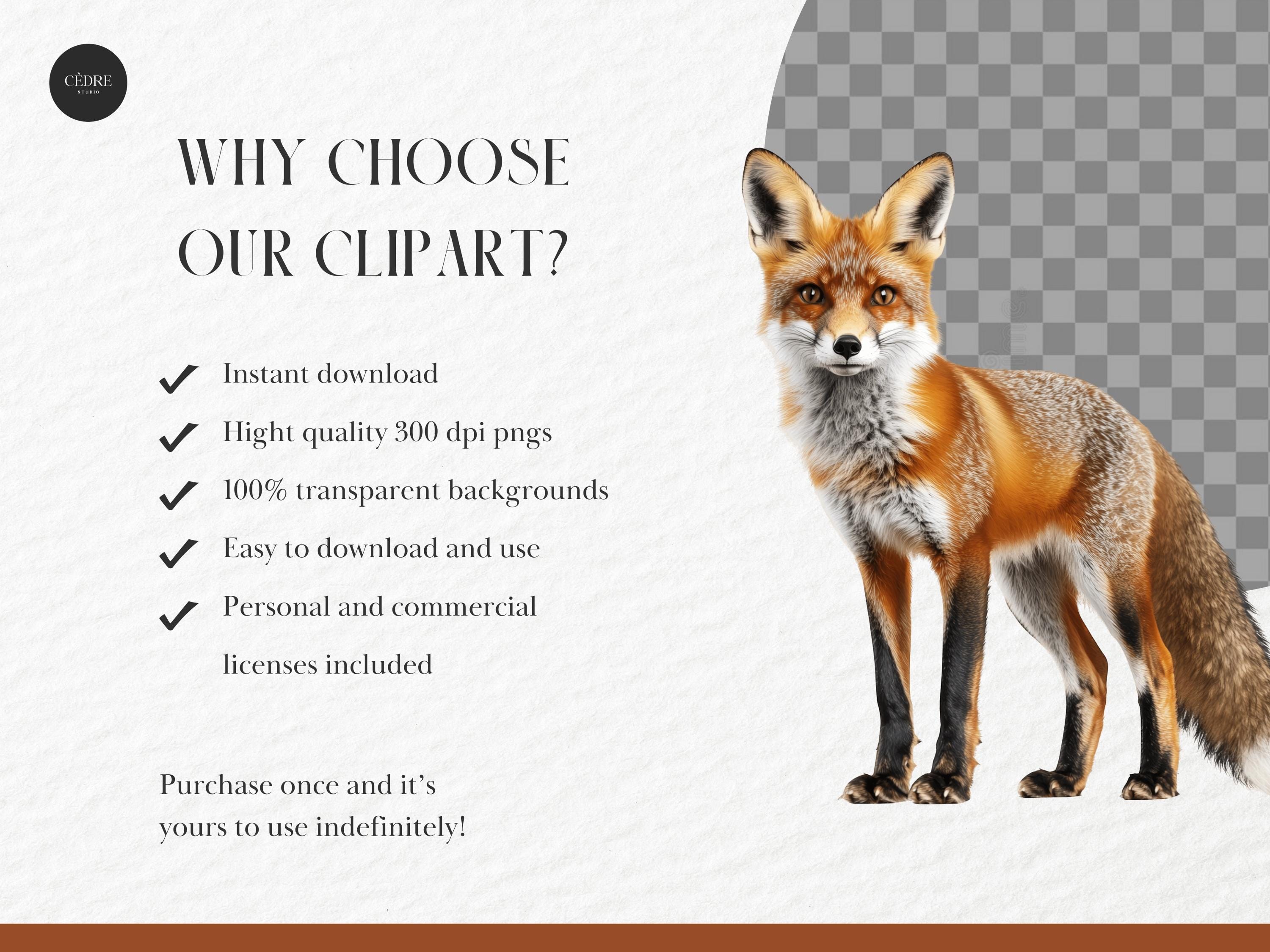 Watercolor Red Fox Clipart, Red Foxes Clipart, Woodland Fox Clipart ...