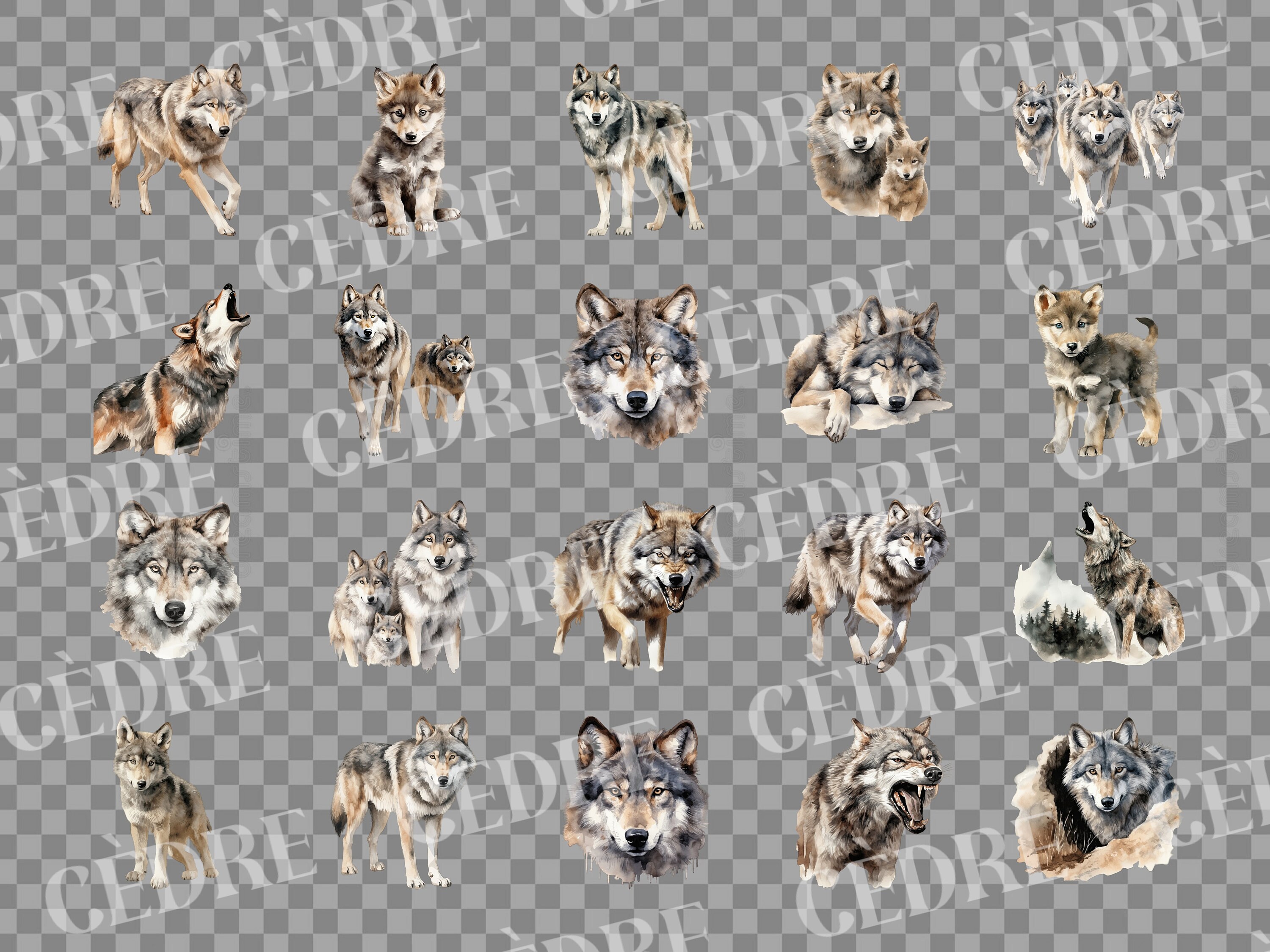 Watercolor Gray Wolf Clipart, Gray Wolves Clipart, Grey Wolf Cub ...