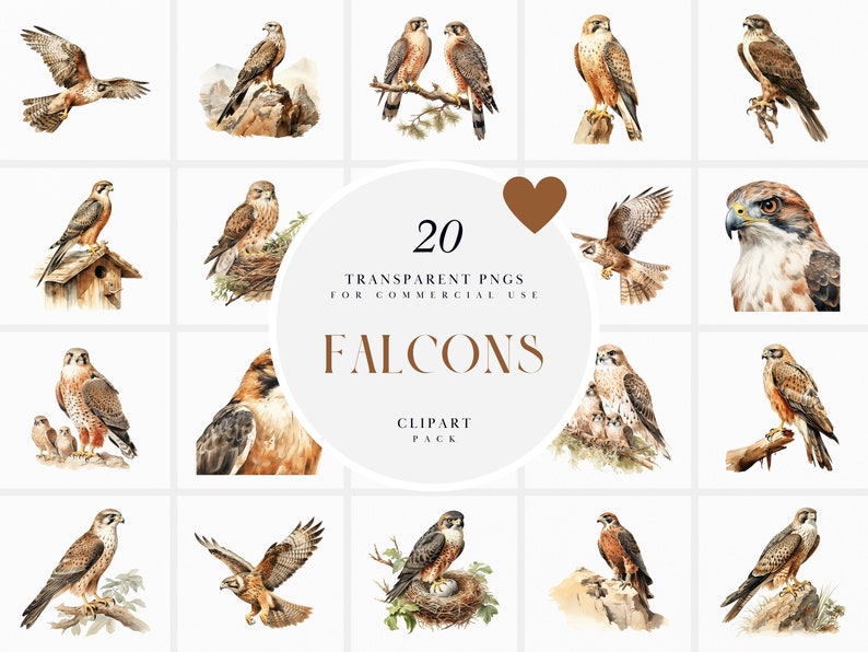 Watercolor Brown Flacon Clipart, Flying Brown Falcons Clipart, Bird of ...