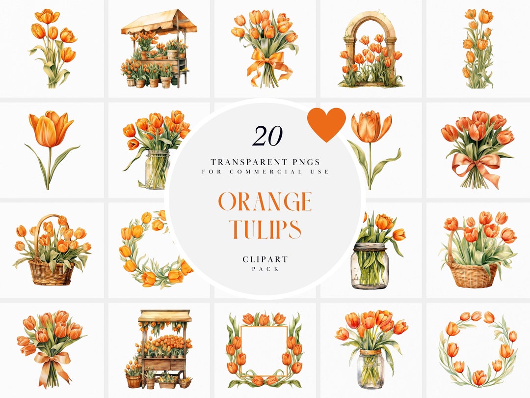 Watercolor Orange Tulips Clipart, Orange Tulip Flower Clipart, Orange ...