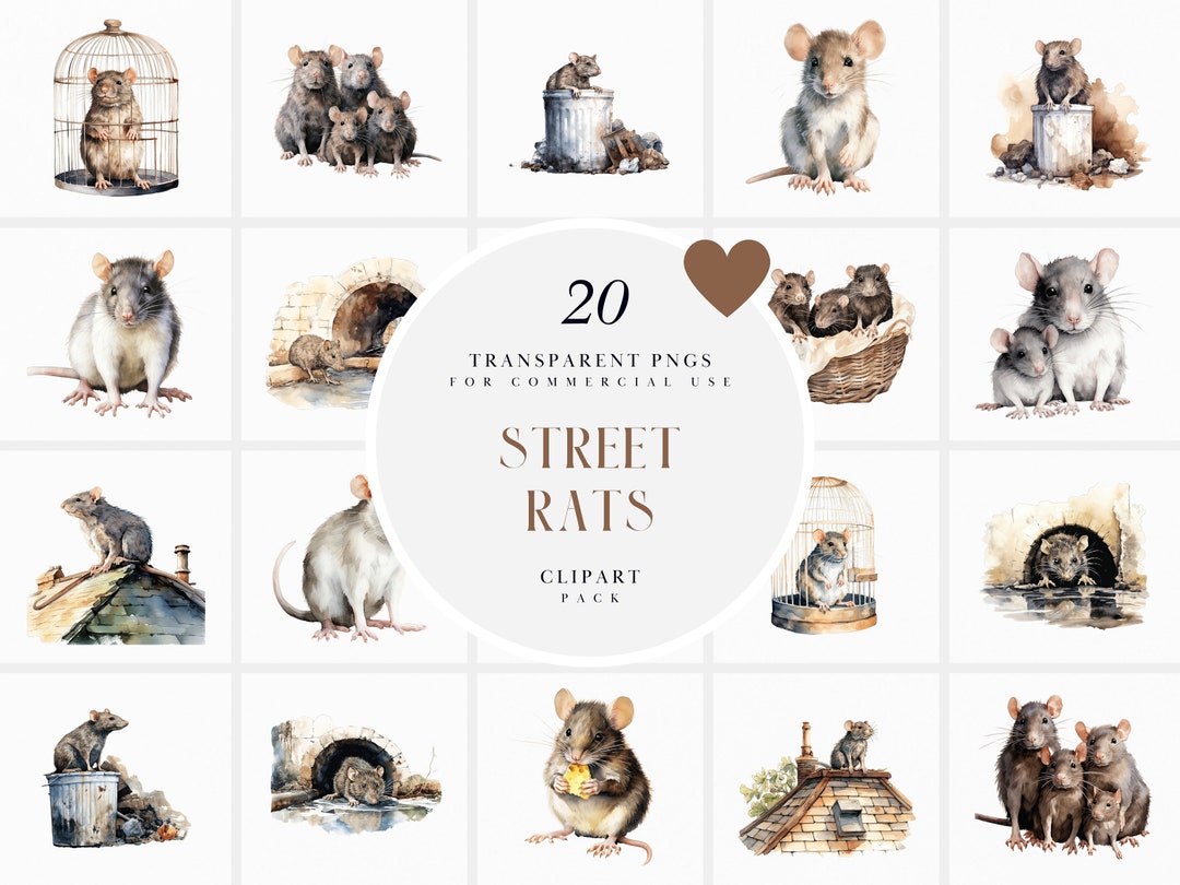 Watercolor Street Rat Clipart, Street Rats Clipart, Cute Pet Rat ...