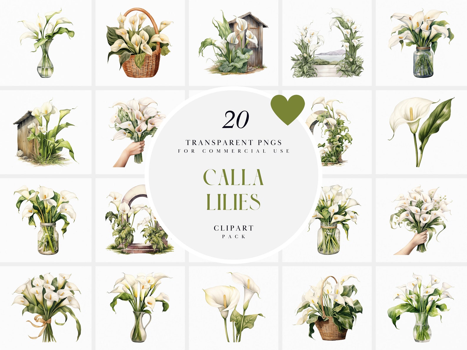 Watercolor Calla Lilies Clipart, Floral White Calla Lily Clipart, Calla ...