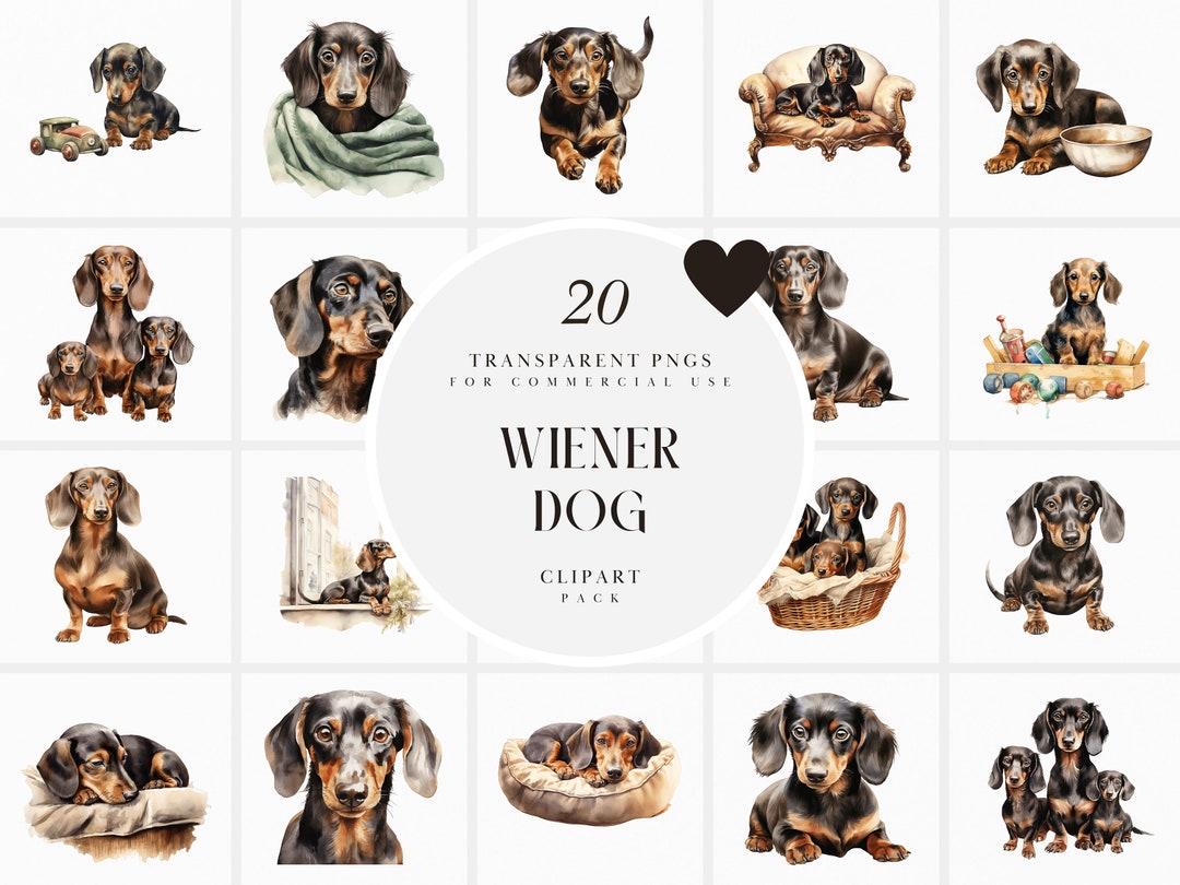 Watercolor Weiner Dog Clipart, Sausage Dogs Clipart, Puppy Dog Clipart ...