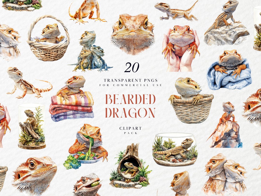 Watercolor Bearded Dragon Clipart, Pogona, Beardies, Lizard, Animal ...