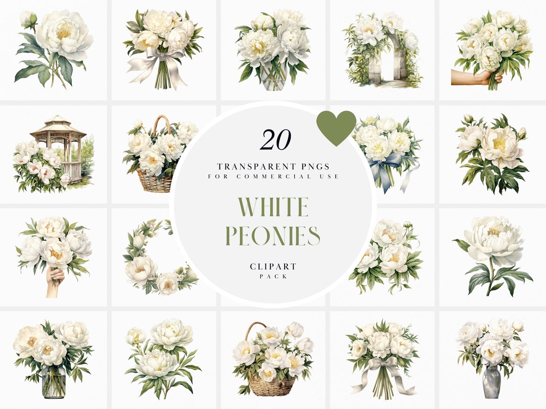 Watercolor White Peonies Clipart, Floral Bridal White Peony Clipart ...