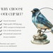 Watercolor Blue Finch Clipart, Flying Blue Finches Clipart, Chirping ...