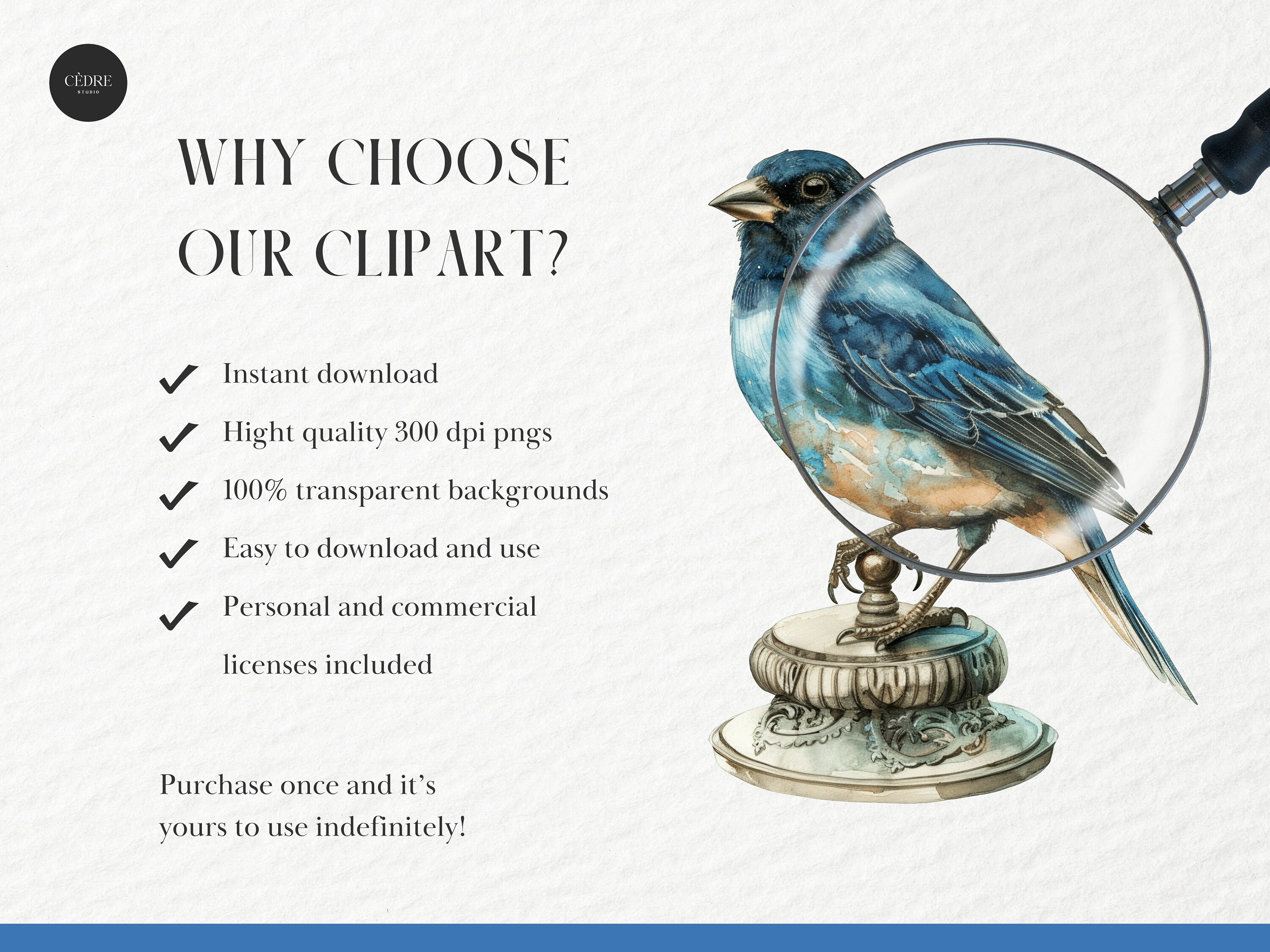 Watercolor Blue Finch Clipart, Flying Blue Finches Clipart, Chirping ...