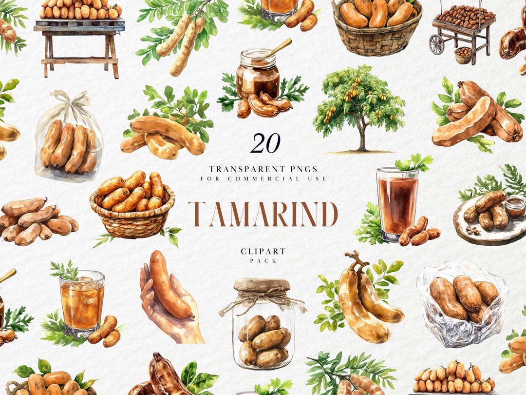 Watercolor Tamarind Clipart, Tropical Fruit Pod, Botanical Herb, Exotic ...