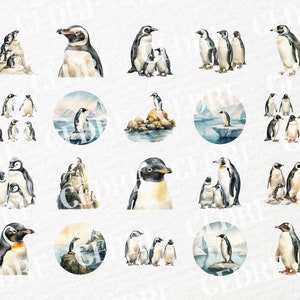 Watercolor Penguins Clipart, Cute Penguin Clipart, Arctic Animals ...