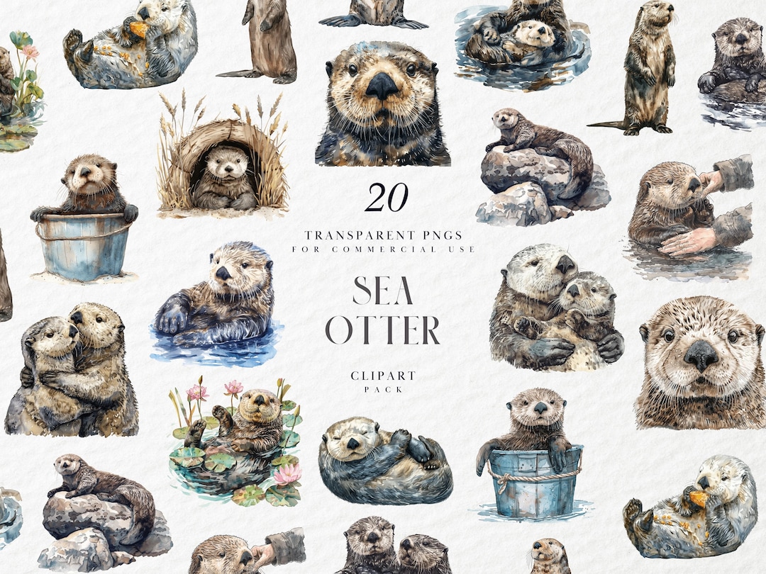 Watercolor Sea Otter Clipart, Marine Mammals, Swimming Sea Otter ...