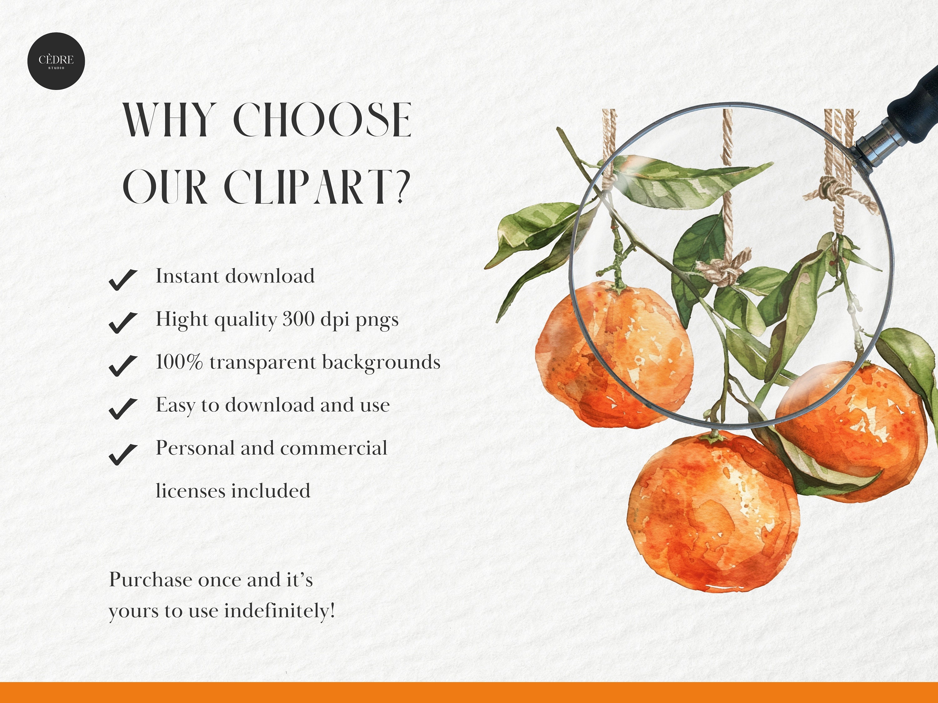 Watercolor Clementine Clipart, Citrus Fruit Clipart, Botanical Tangor ...