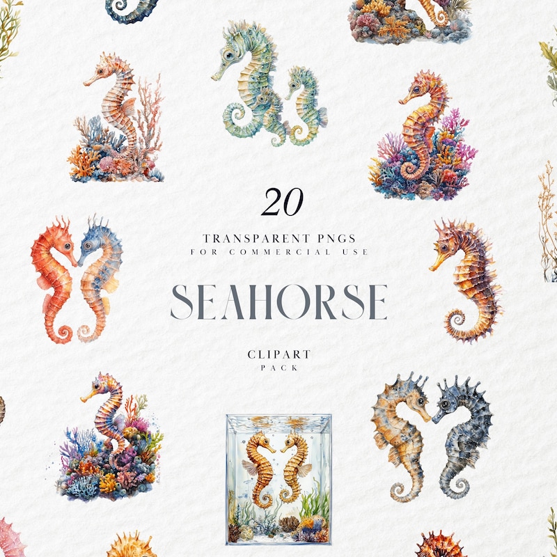 Watercolor Seahorse - Etsy