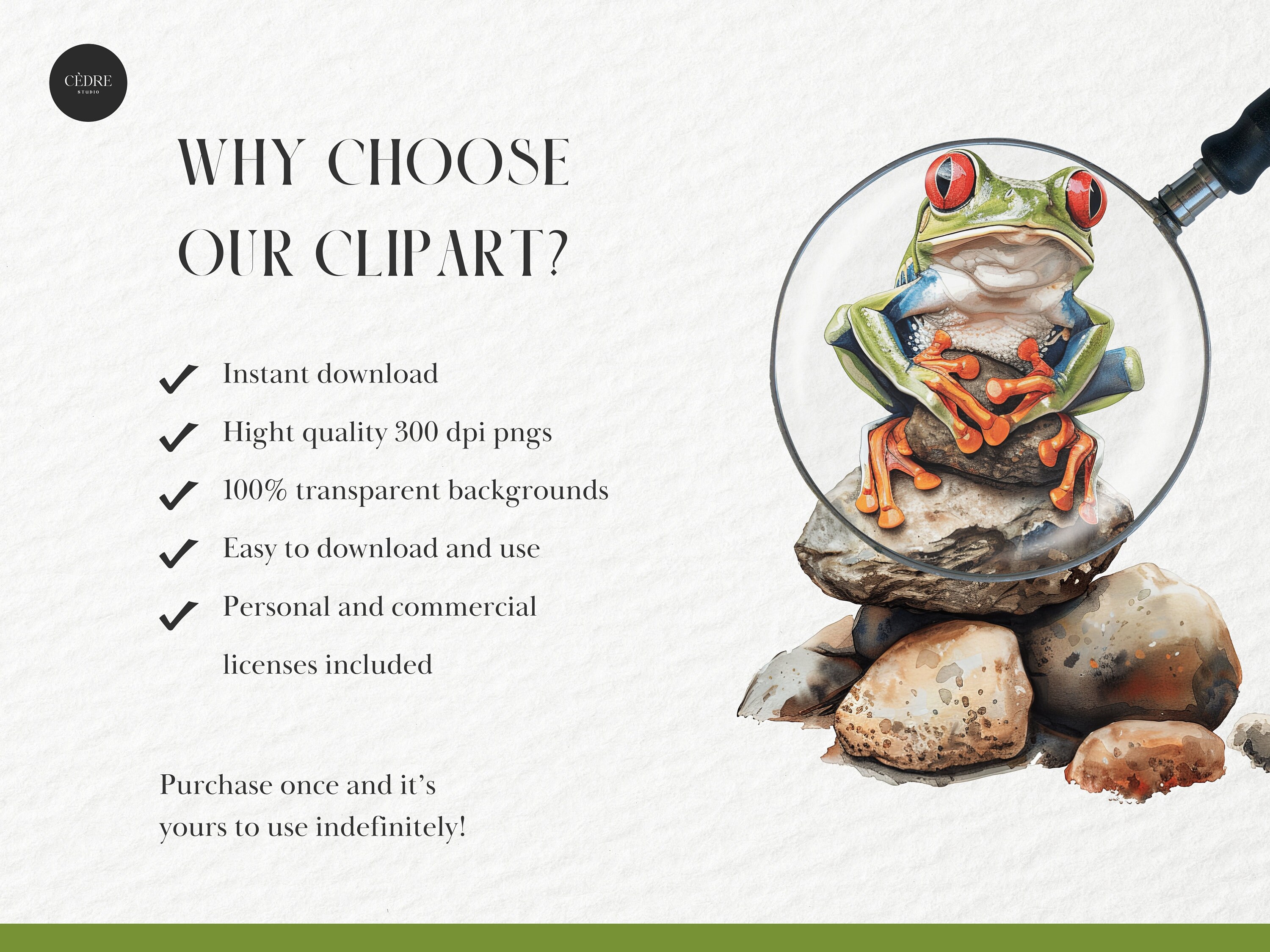 Watercolor Red Eye Tree Frog Clipart, Frogs Clipart, Amphibian Animal ...