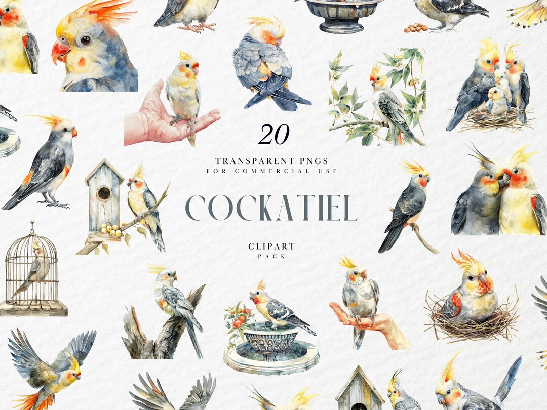 Watercolor Cockatiel Clipart, Flying Cockatiels Birds, Chirping ...