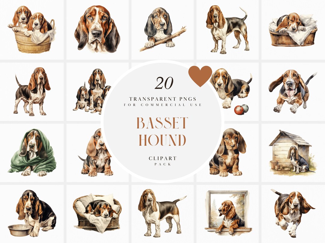 Watercolor Basset Hound Clipart, Adorable Hounds Clipart, Cute Puppy ...