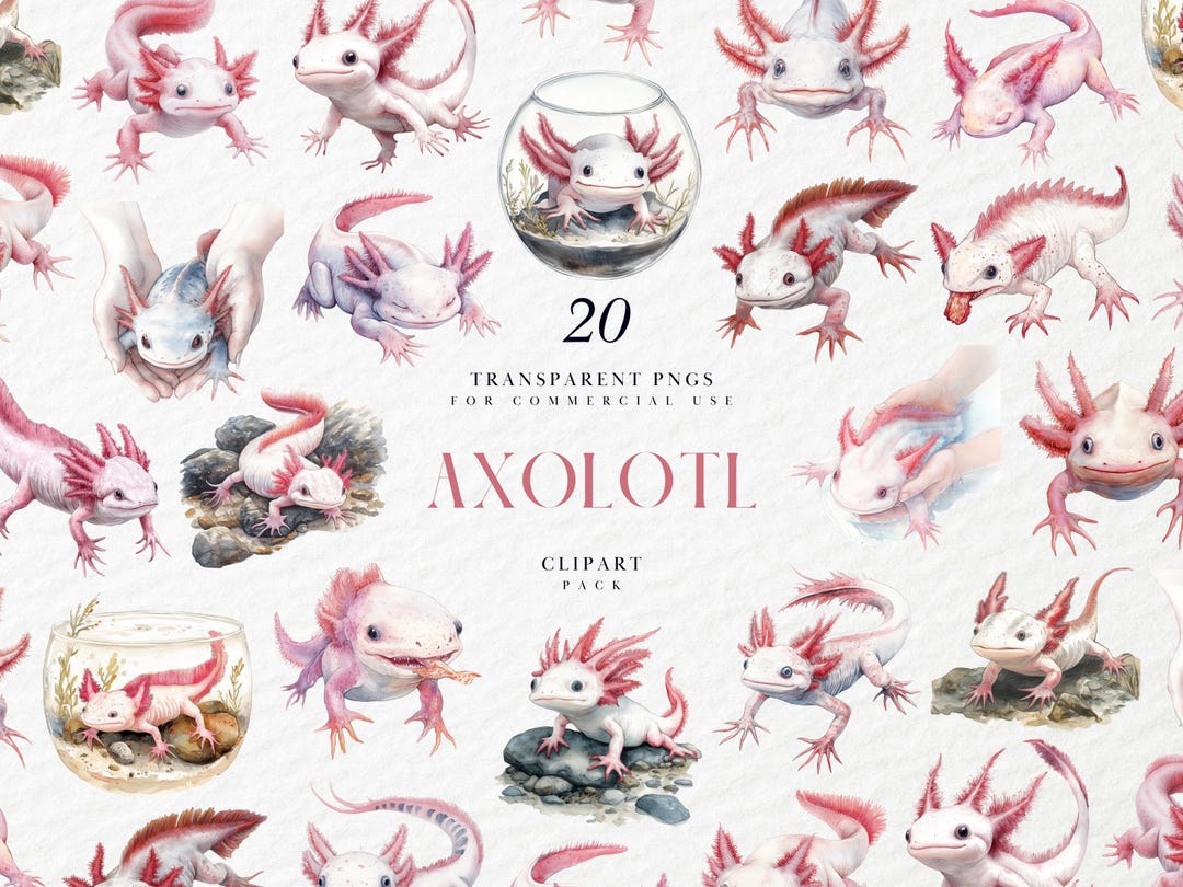 Watercolor Axolotl Clipart, Whimsical Pastel Aquatic Style,salamander ...