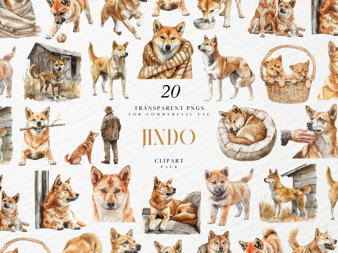 Watercolor Jindo Clipart, Korean Dog Breed Portrait, Loyal Spitz Puppy ...