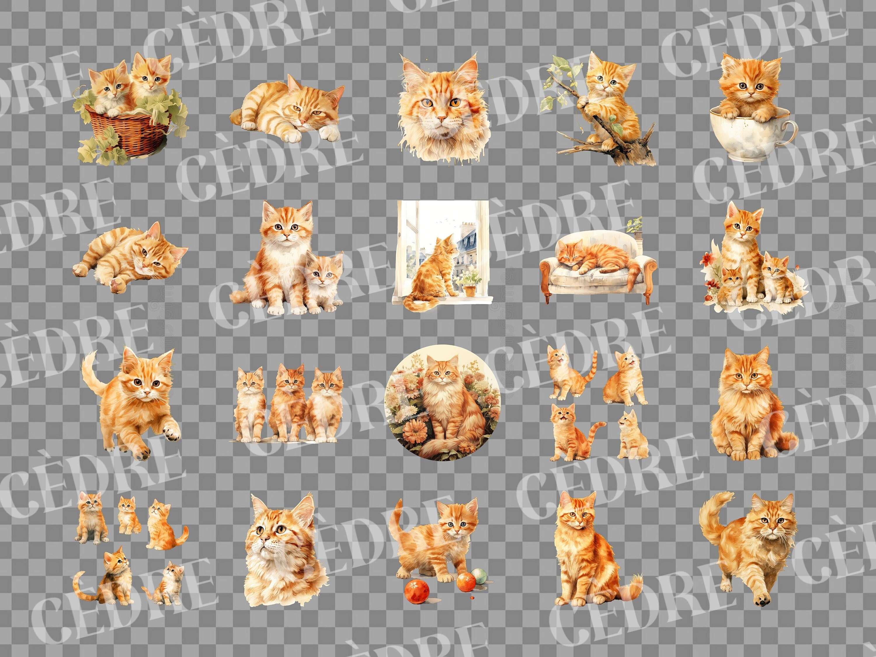 Watercolor Orange Cat Clipart, Cute Orange Cats Clipart, Pet Home Cat ...