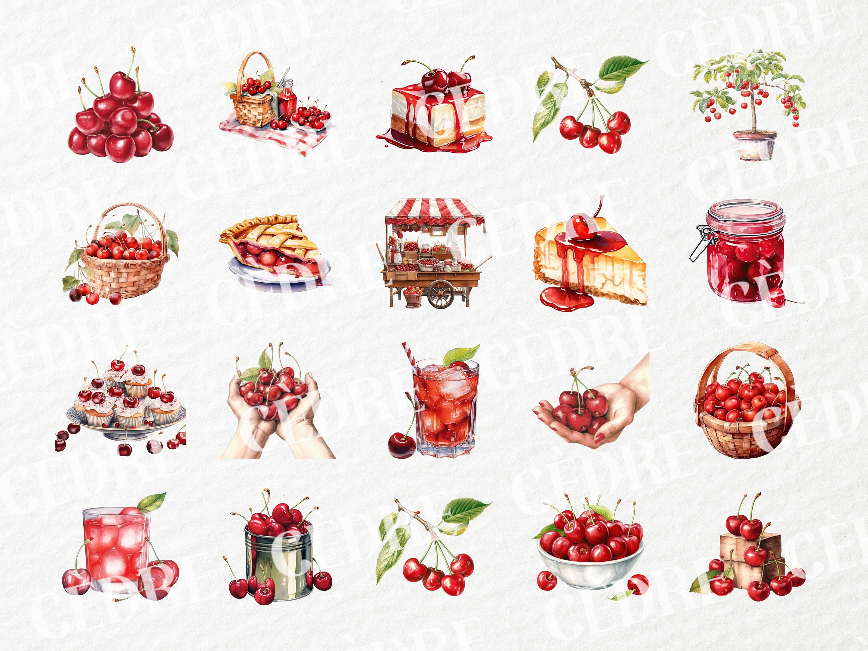 Watercolor Cherries Clipart, Cherry Clipart, Cherry Fruit Berries ...