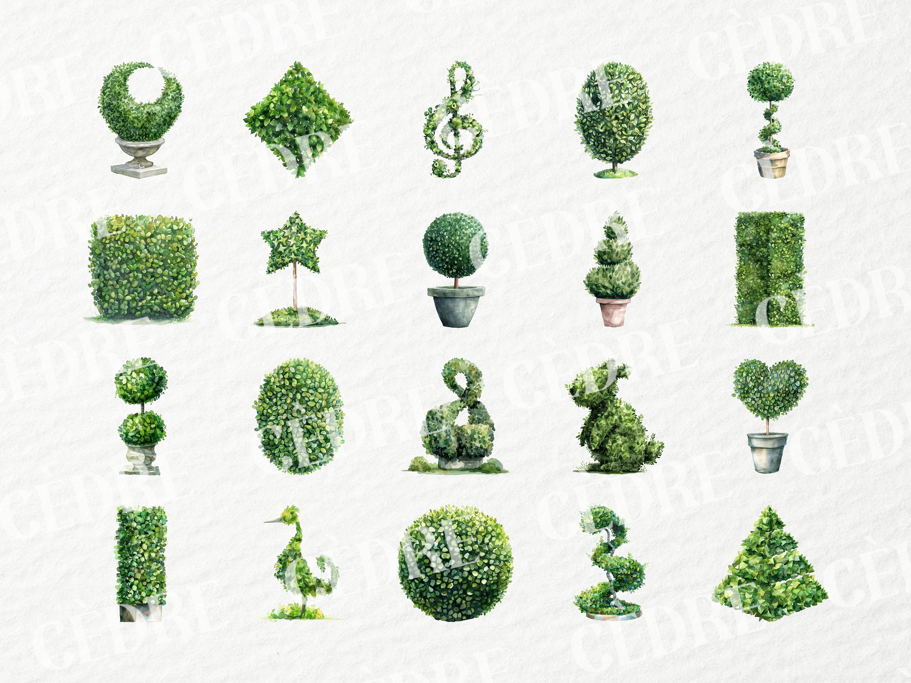 Watercolor Topiary Clipart, Potted Topiary Planter Clipart, Garden ...