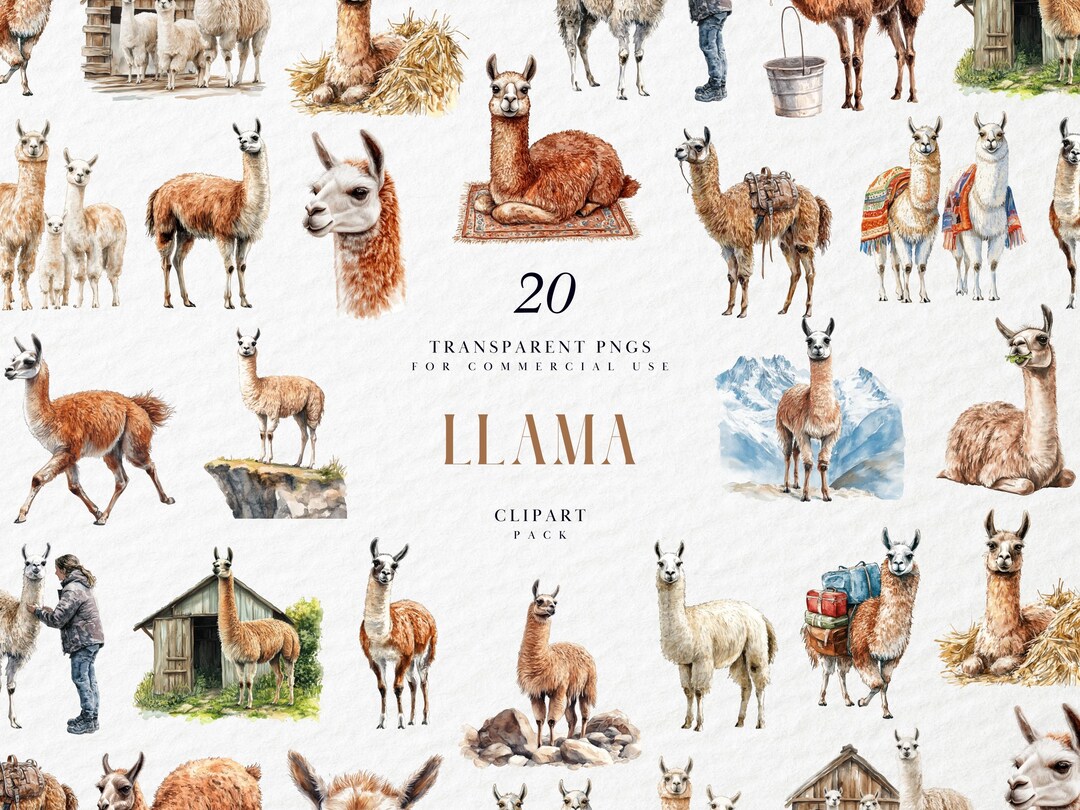 Watercolor Llama Clipart, Adorable Fluffy Alpaca Animal, South American ...
