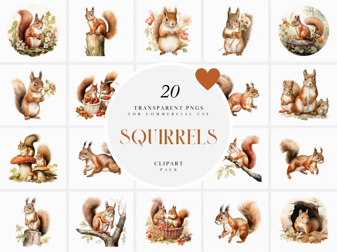 Watercolor Squirrels Clipart, Woodland Squirrel Clipart, Cute Baby ...