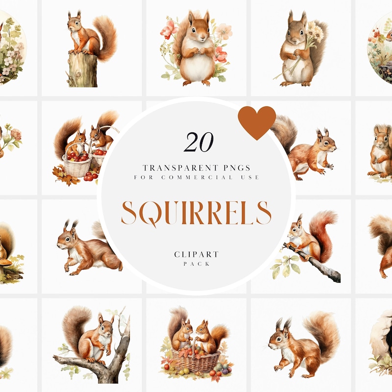 Nursery Squirrel - Etsy