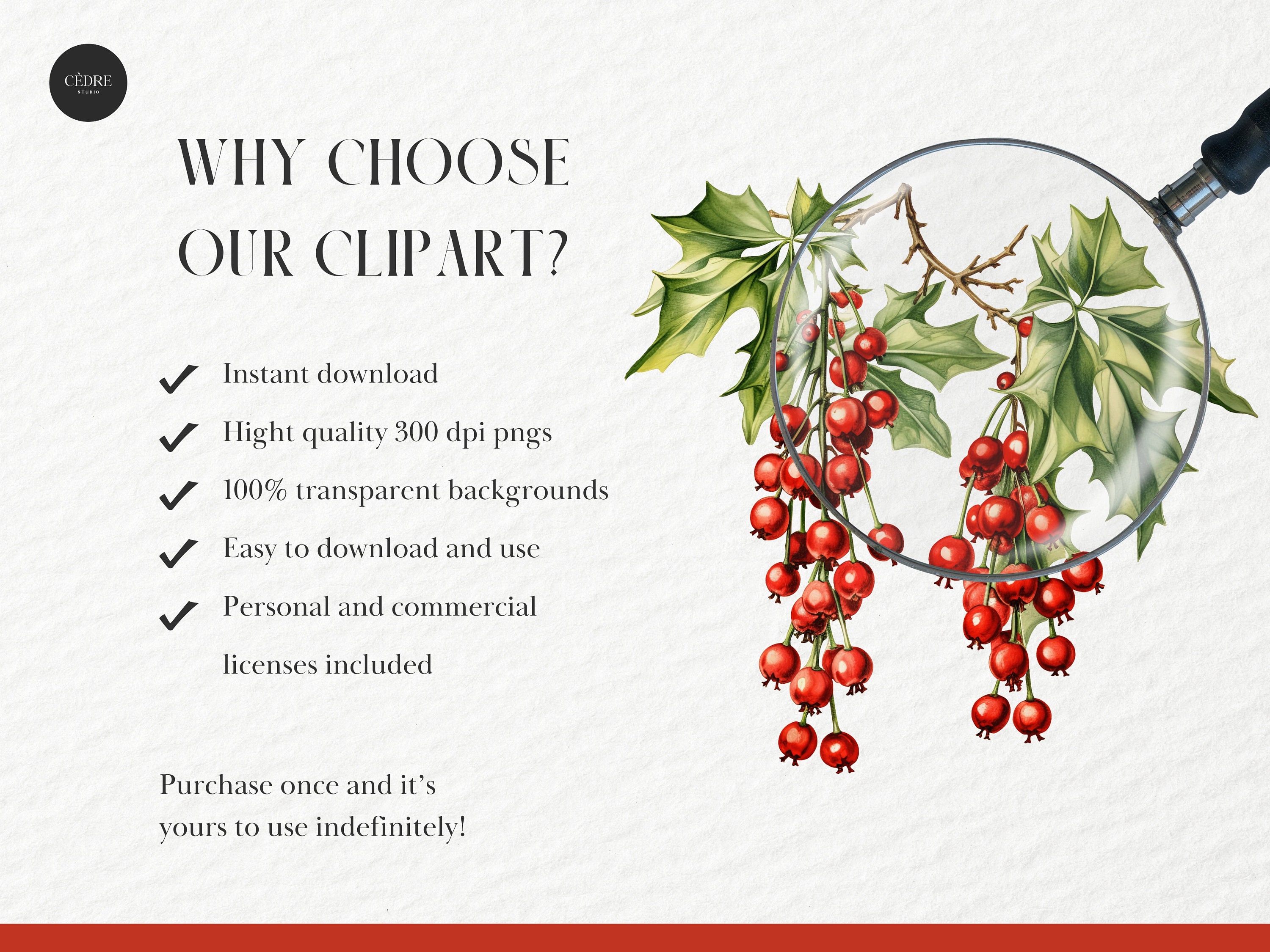 Watercolor Christmas Holly Clipart, Xmas Holly Berries Clipart, Winter ...