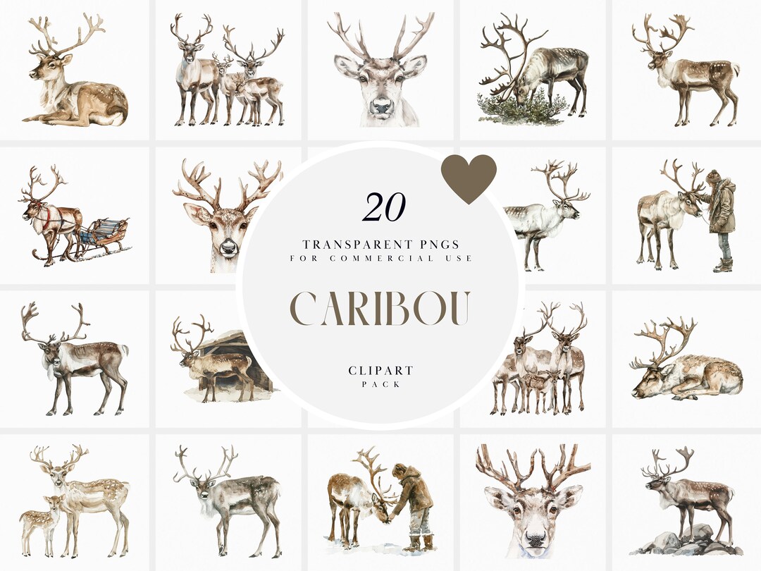 Watercolor Caribou Clipart, Realistic Reindeer Clipart, Arctic Animals ...