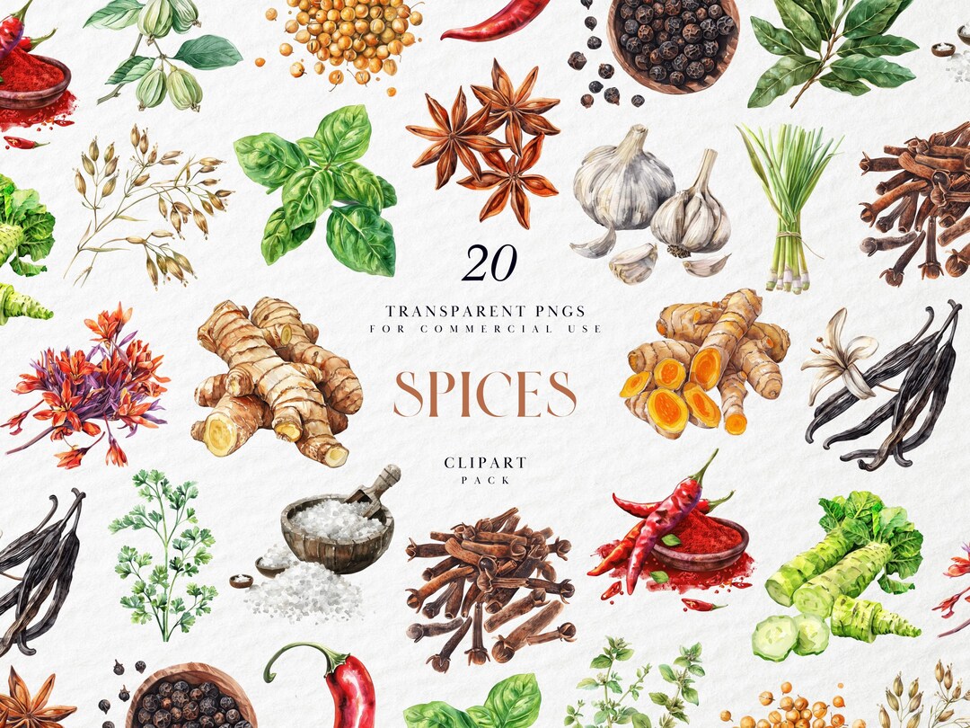 Watercolor Spices Clipart, Culinary Herbs, Aromatic Ingredients, Recipe ...