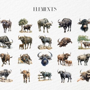 Watercolor Water Buffalo Clipart, Asian River Swamp Buffalo, Bison ...