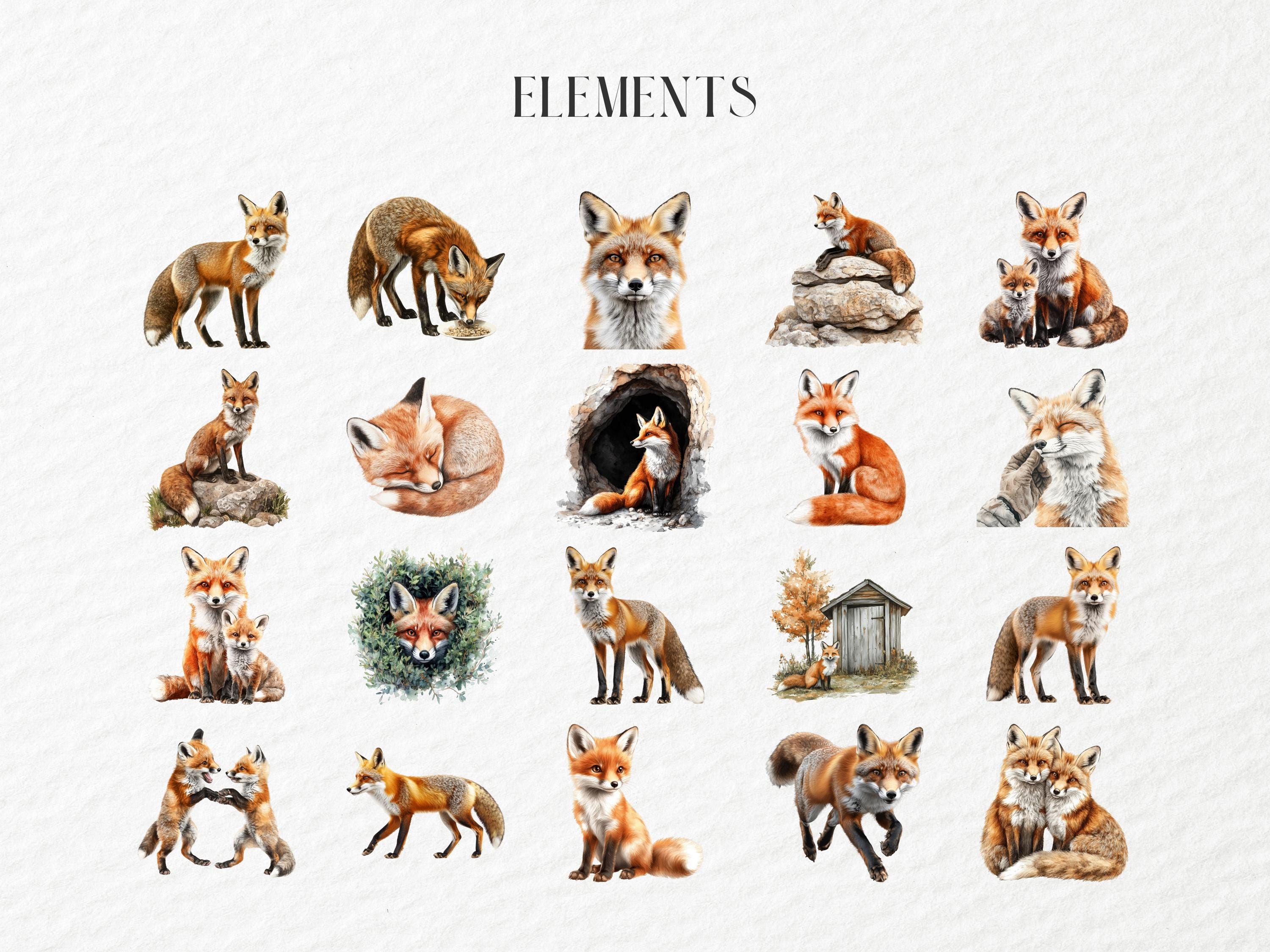 Watercolor Red Fox Clipart, Red Foxes Clipart, Woodland Fox Clipart ...