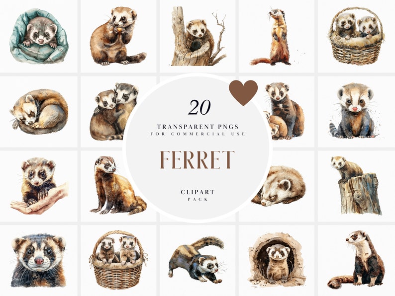 Watercolor Ferret Clipart, Ferrets Clipart, Pet Cute Baby Ferret ...
